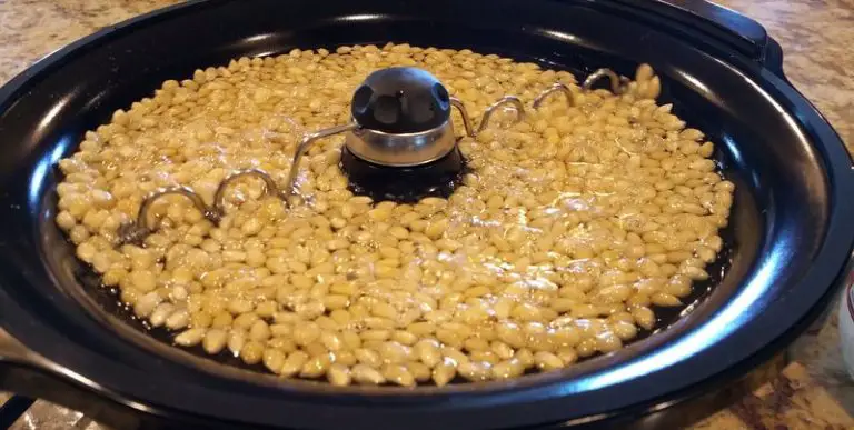 How To Use A Popcorn Maker (Complete Guide)